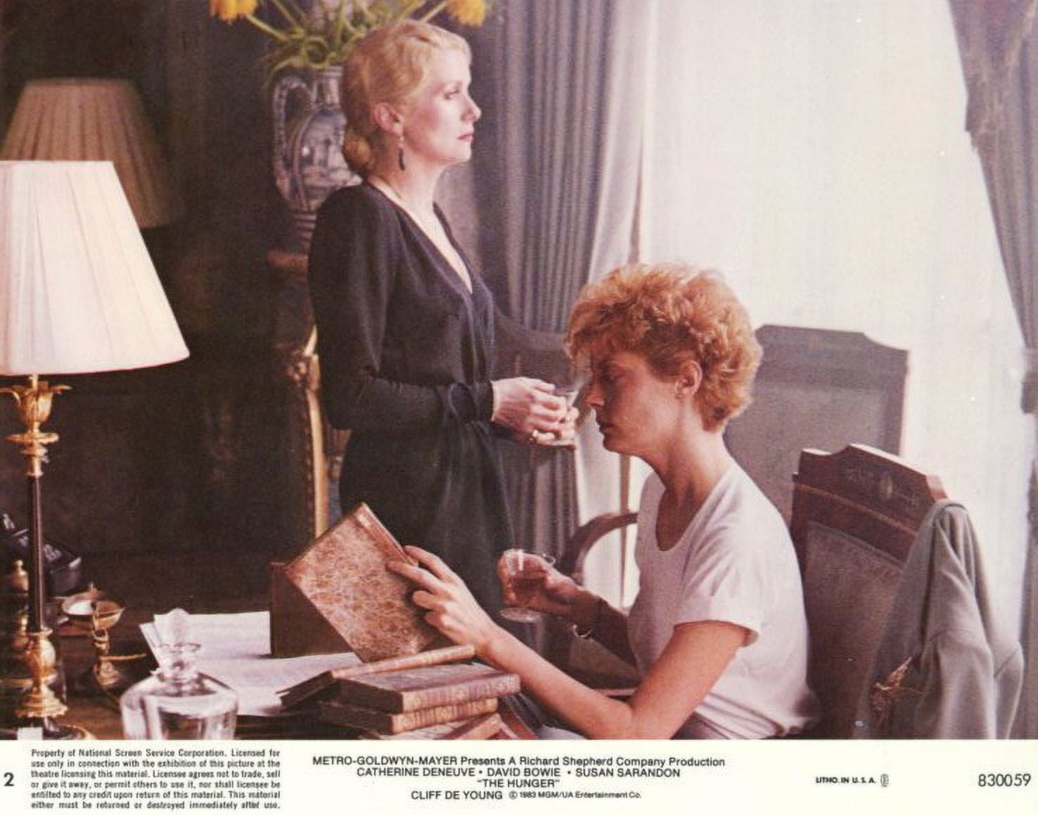 The Hunger - movie POSTER (Style B) (11" x 14") (1983) - Walmart.com