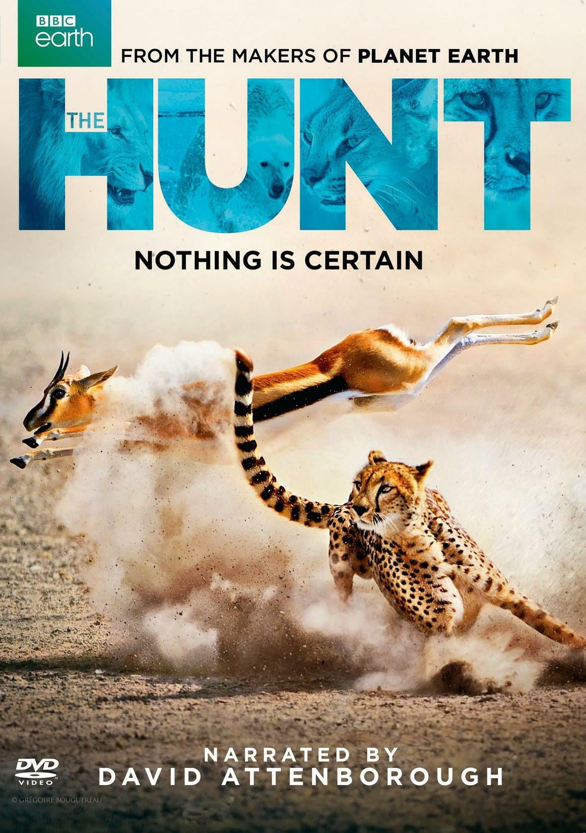 The Hunt [DVD], Thriller, Horror, Action - Walmart.com