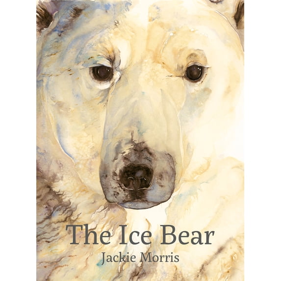 The Ice Bear (Hardcover) - Walmart.com