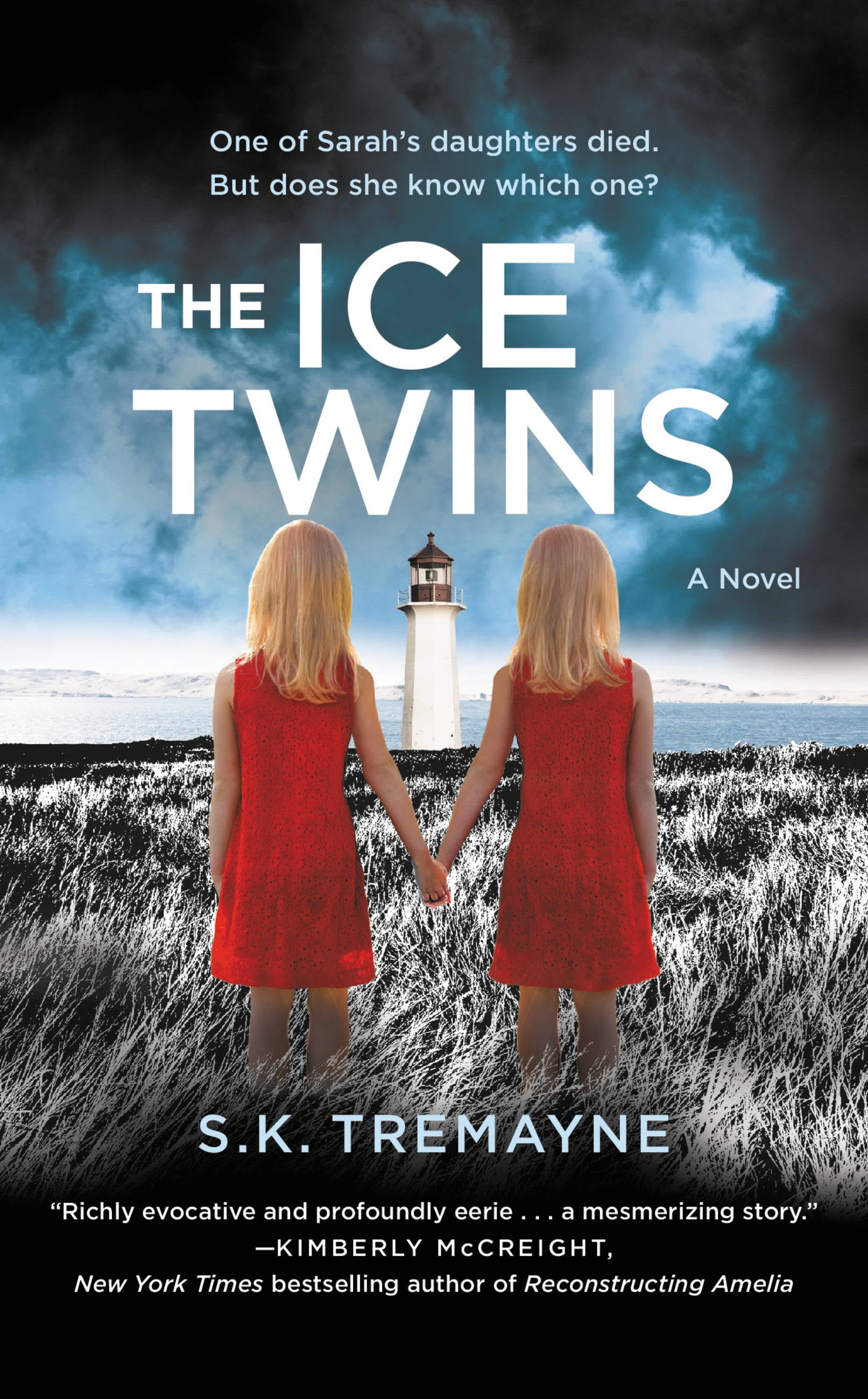 The Ice Twins (Paperback) - Walmart.com