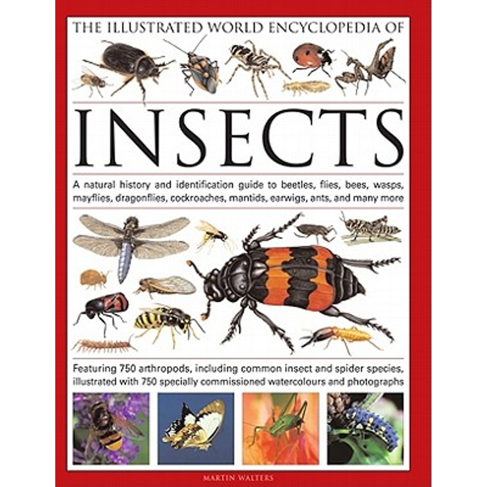 Pre-Owned The Illustrated World Encyclopaedia of Insects: A Natural History and Identification ...
