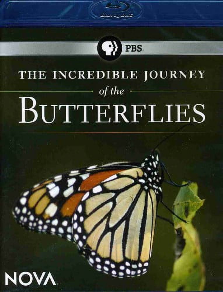 The Incredible Journey of the Butterflies (Blu-ray), WGBH, Music ...