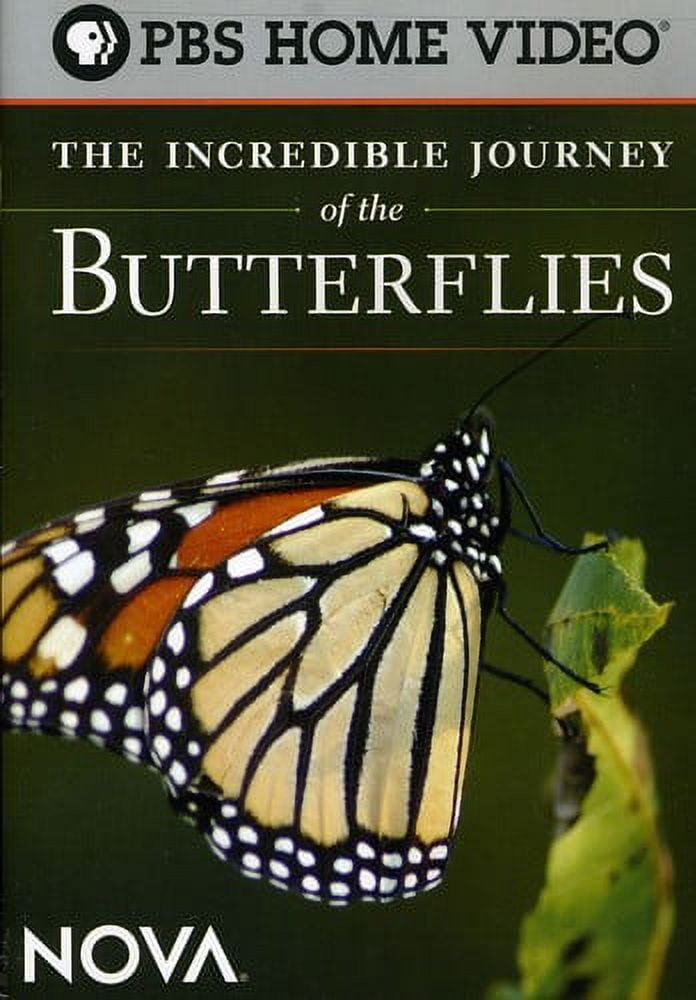 The Incredible Journey of the Butterflies (DVD), WGBH, Music ...