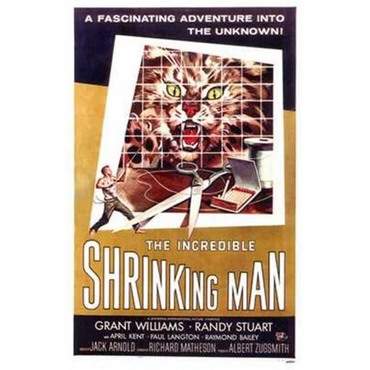 The Incredible Shrinking Man Movie Poster (11 x 17) - Walmart.com
