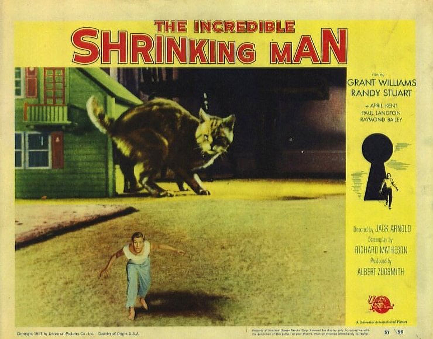 The Incredible Shrinking Man - movie POSTER (Style E) (11" x 14") (1957 ...