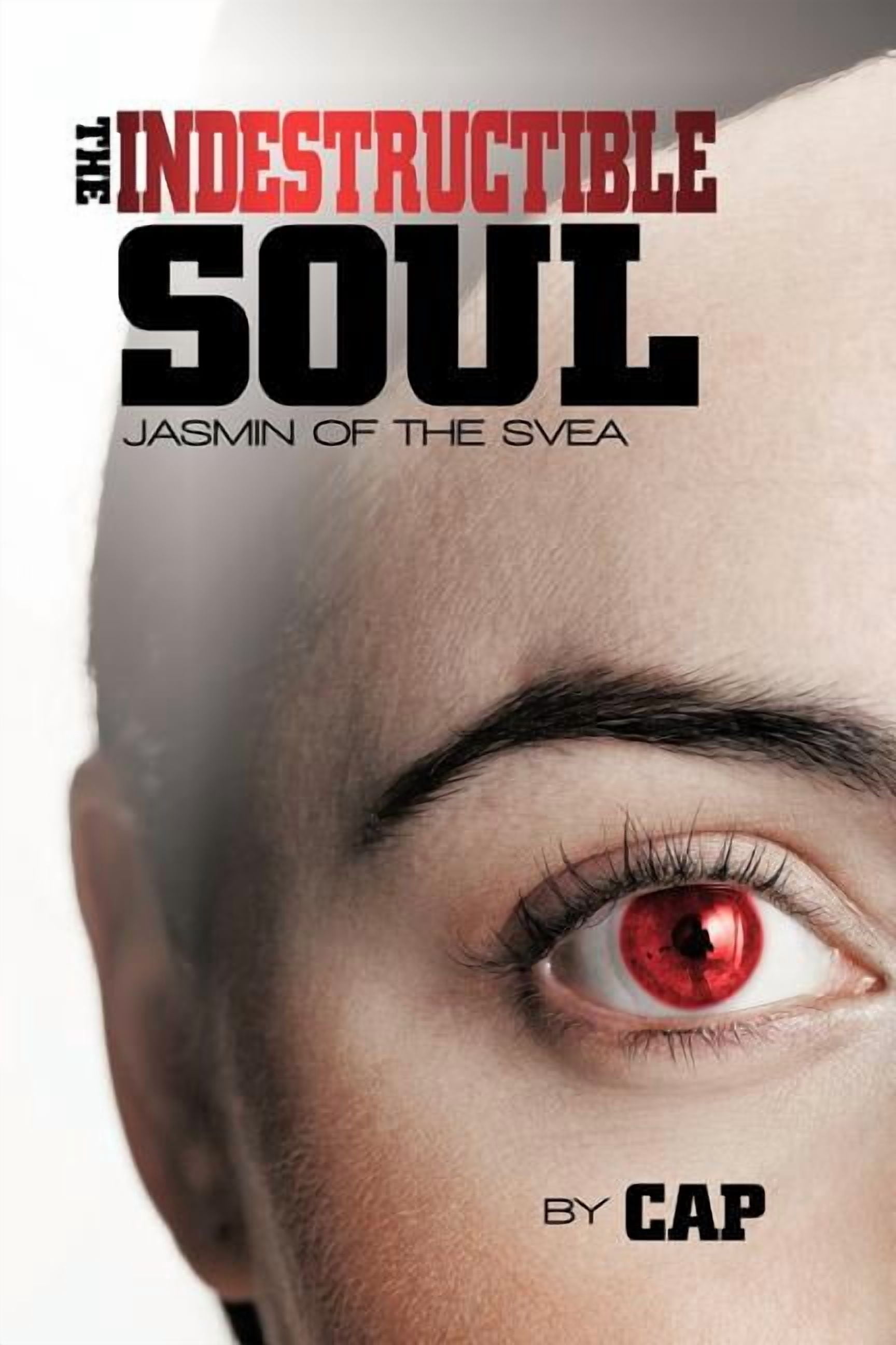 The Indestructible Soul (Paperback) - Walmart.com