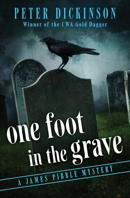 The James Pibble Mysteries: One Foot in the Grave (Paperback) - Walmart.com
