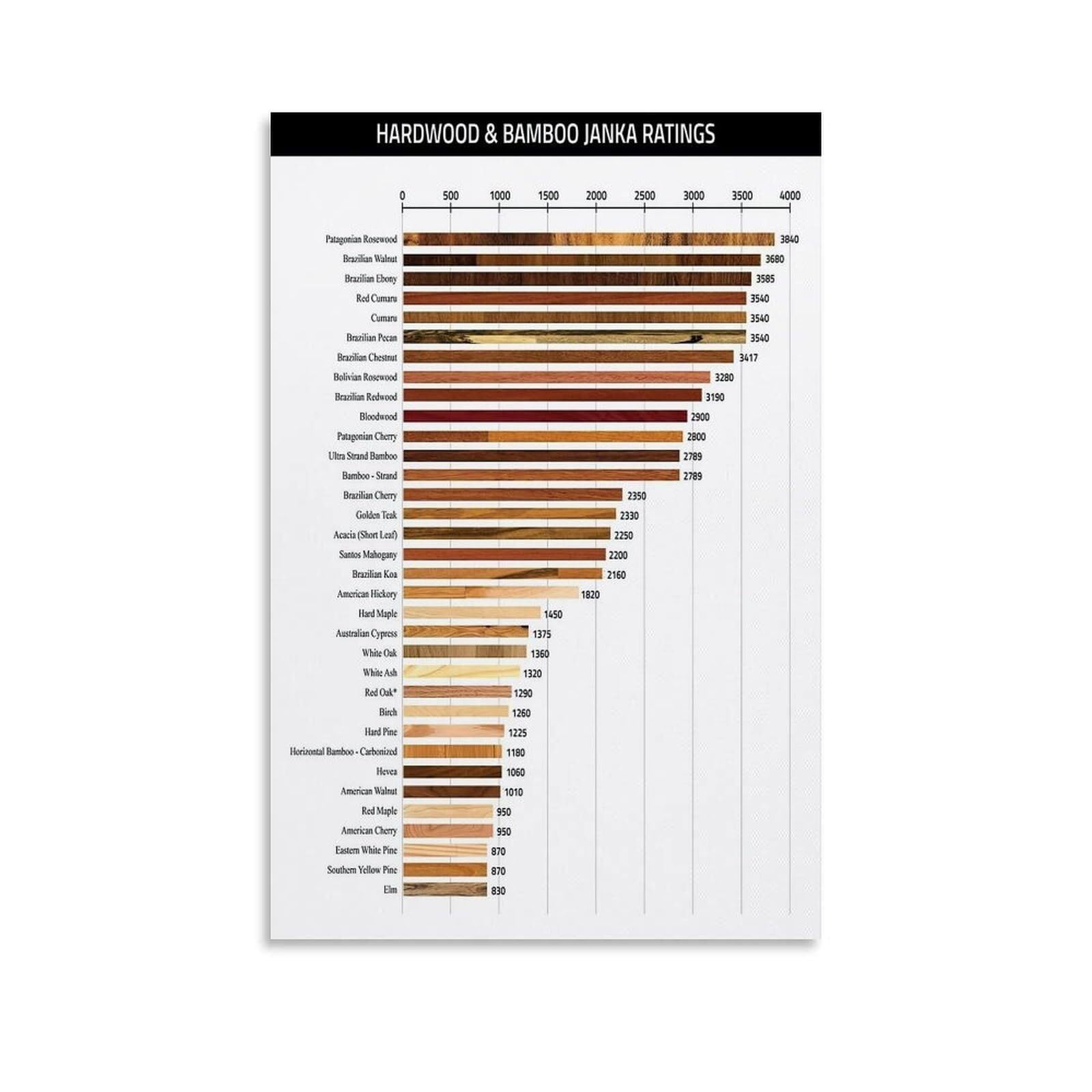 The Janka Wood Hardness Scale Poster Wood Hardness Chart Canvas ...