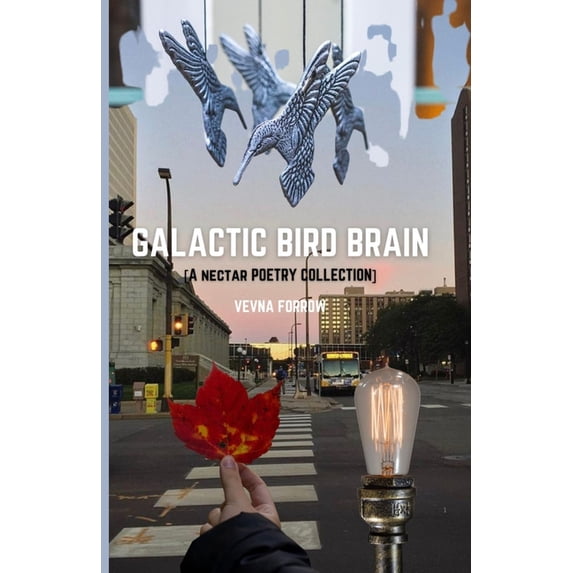 The Jazzy Hummingbird Project Galactic Bird Brain [A Nectar Poetry ...