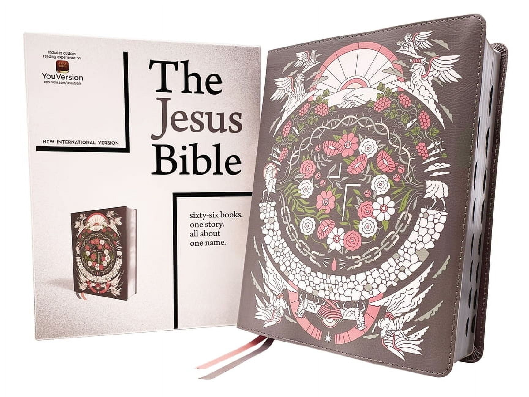 The Jesus Bible Artist Edition, Niv, (with Thumb Tabs to Help Locate ...