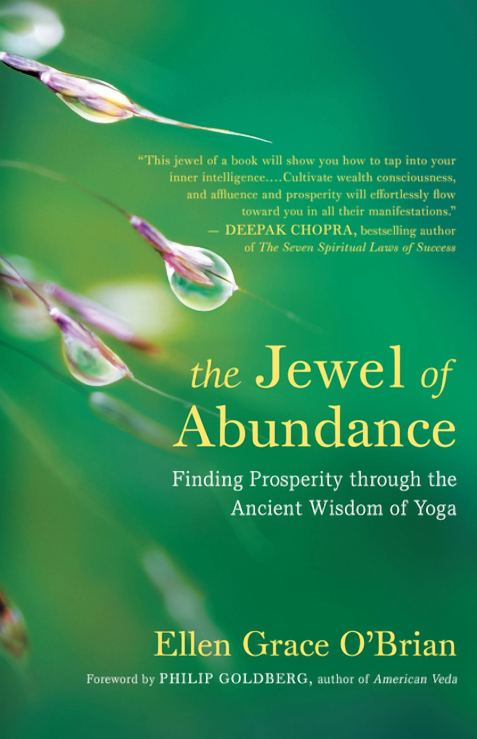 The Jewel of Abundance: Finding Prosperity Through the Ancient Wisdom ...