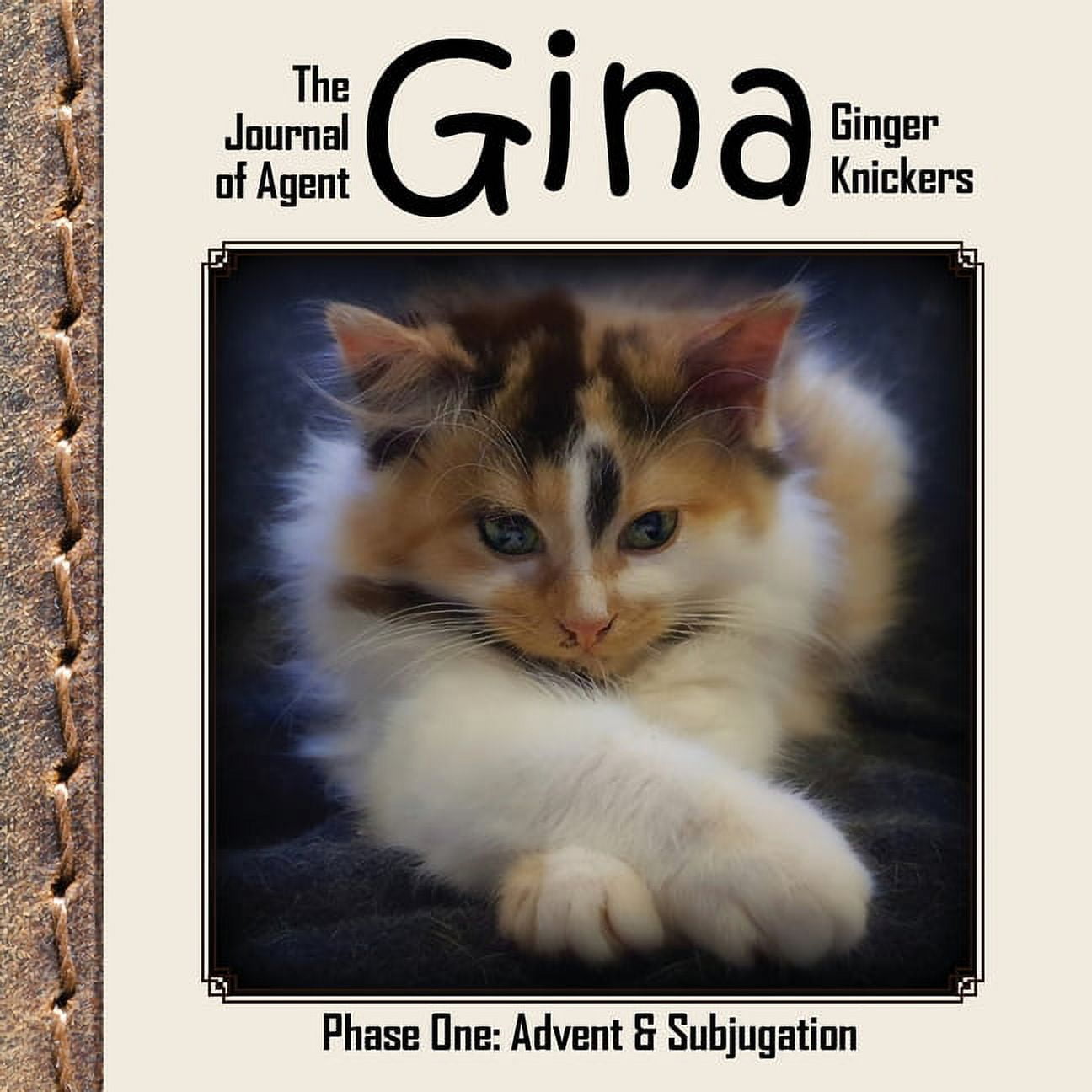 The Journal of Agent Gina Ginger Knickers, Phase One: Advent ...