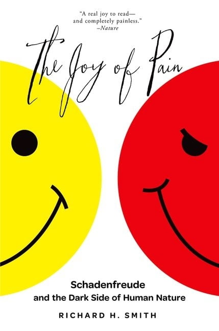 The Joy of Pain, (Paperback) - Walmart.com
