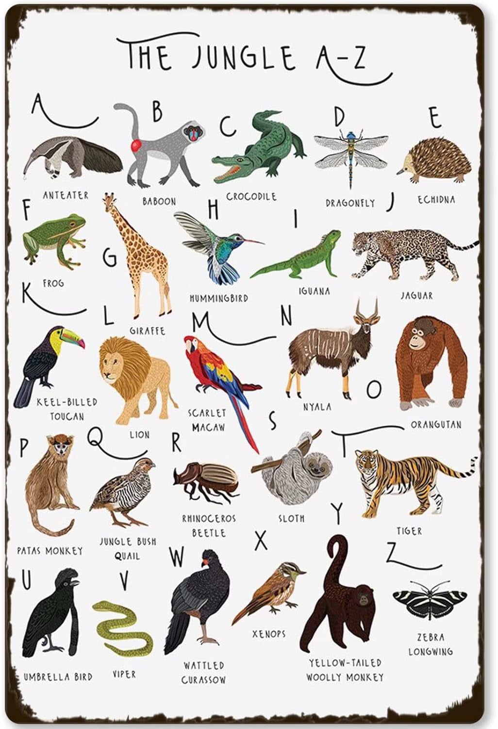 The Jungle A- Z Tin Signs Jungle Animals Guide Plaques Children ...