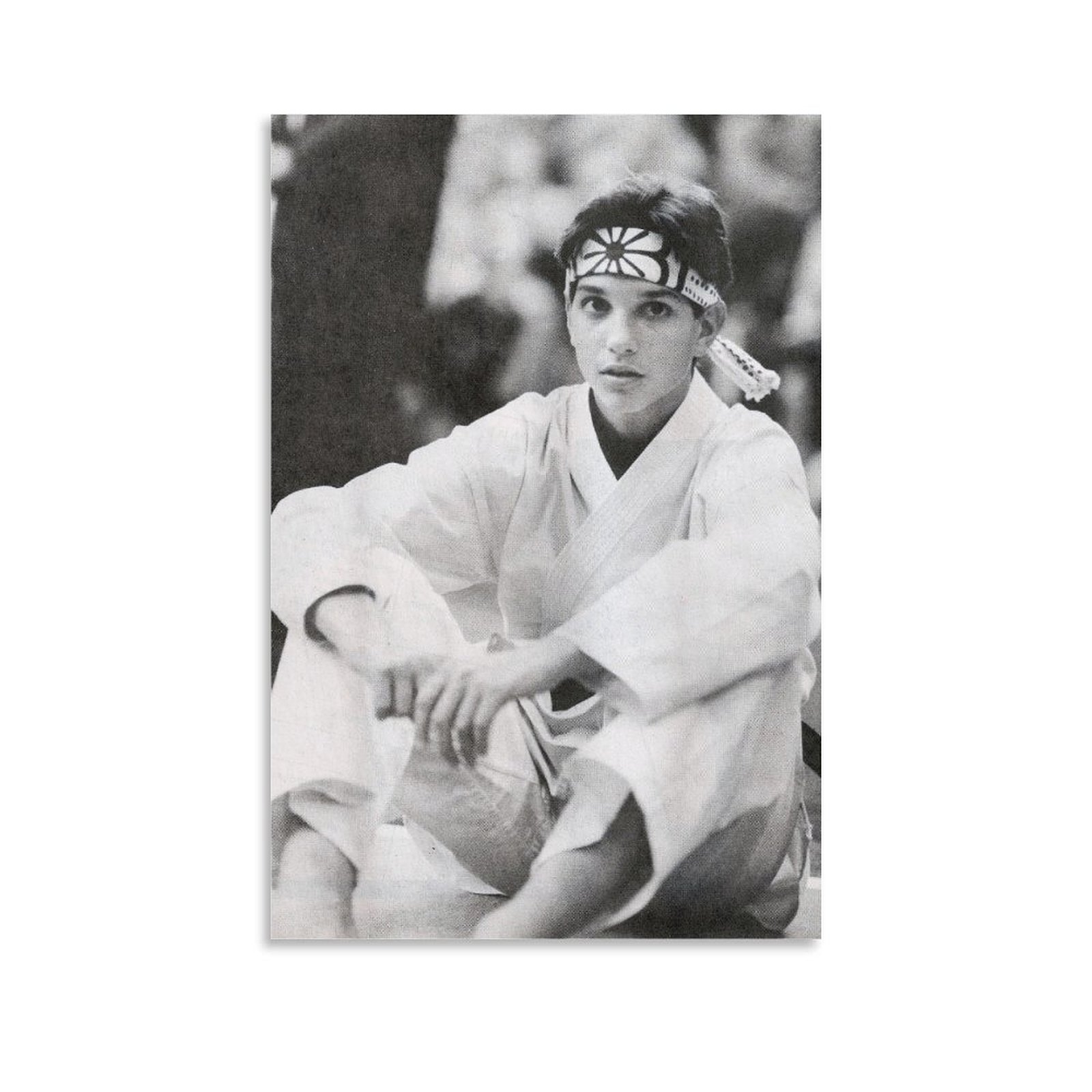 The Karate Kid 1984 Movie Poster Ralph Macchio Poster Canvas Wall Art ...