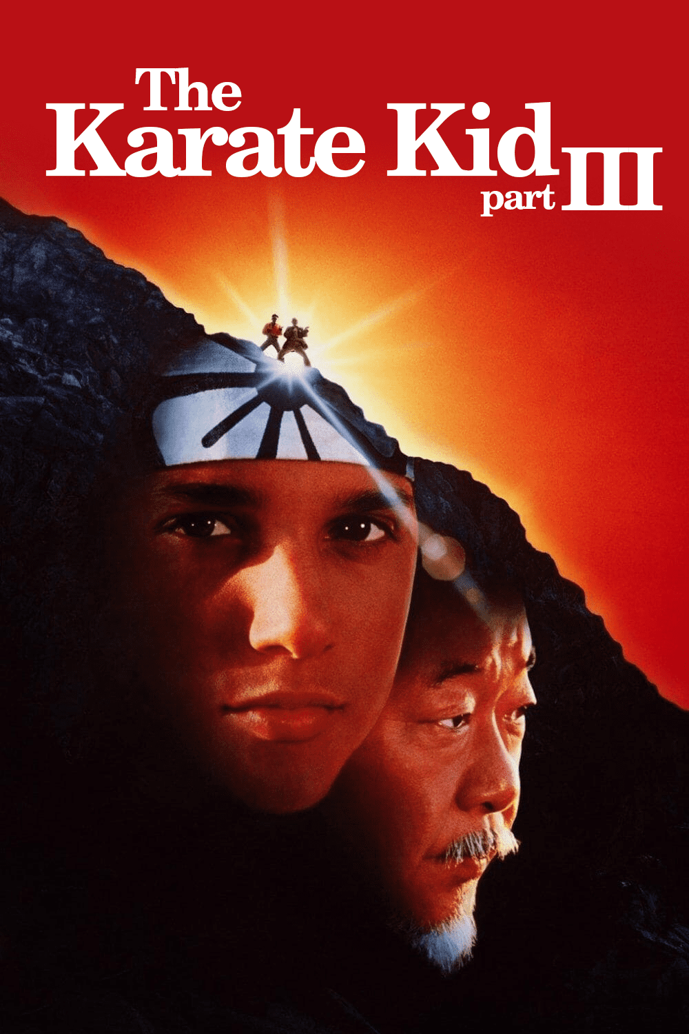 The Karate Kid Part III (1989) Poster 24x36 Martial Arts Drama with ...