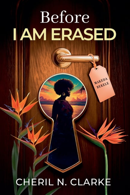 The Keyhole Chronicles Before I Am Erased, Book 2, (Paperback ...