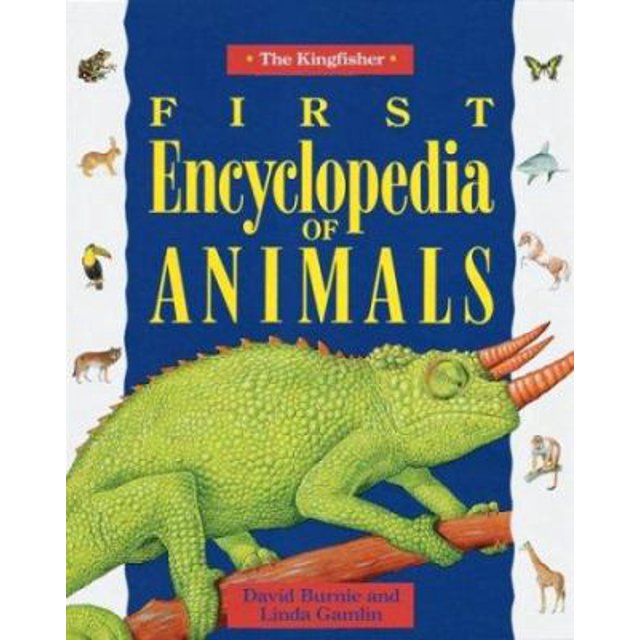 Pre-Owned The Kingfisher First Encyclopedia of Animals (Hardcover ...