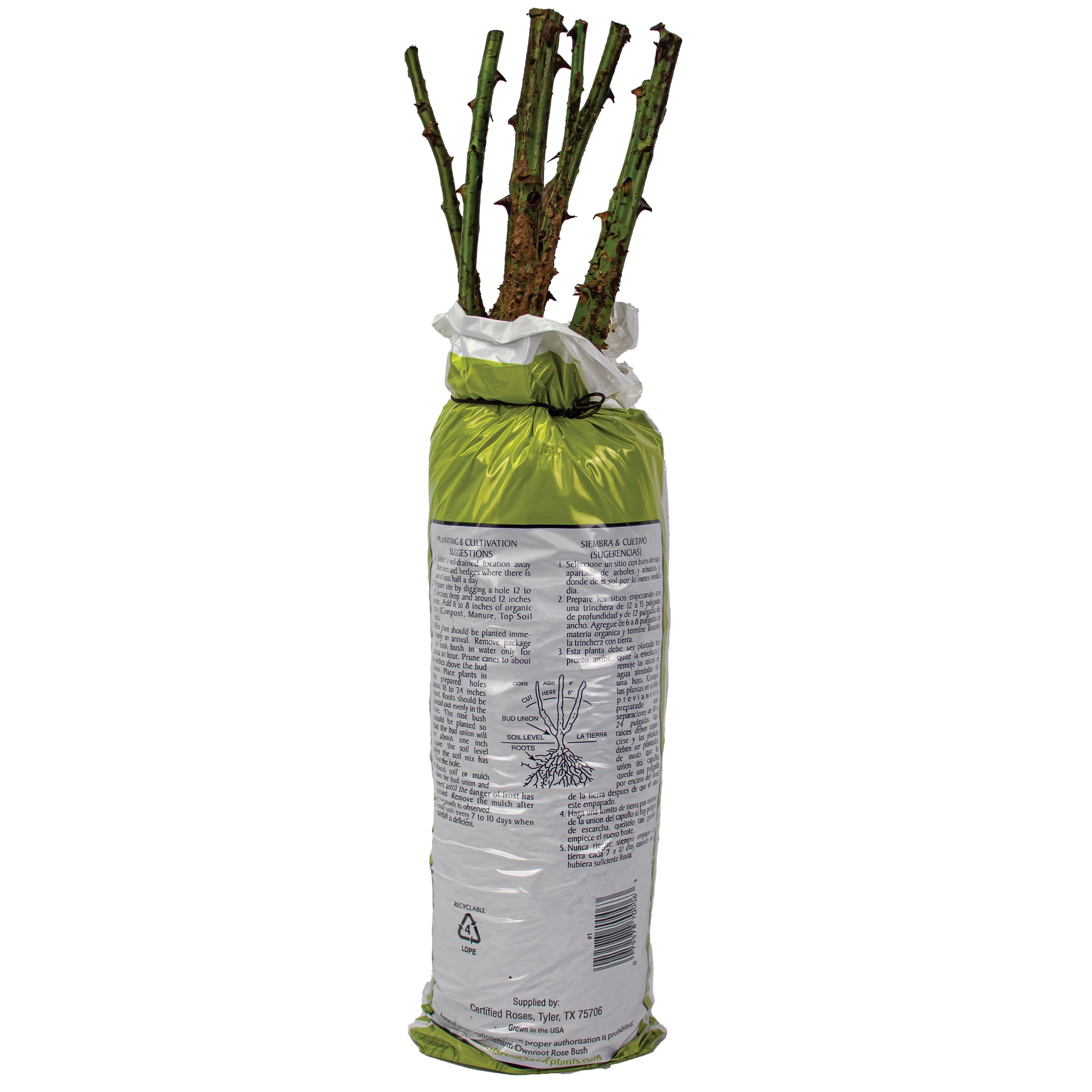 The Knock Out® Family of Roses Solid Color Dormant Packaged Garden Rose ...