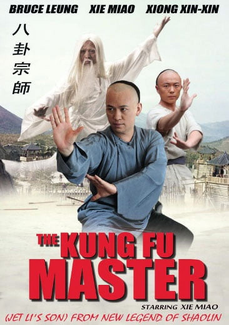 The Kung Fu Master Xie Miao - Hong Kong Kung Fu Martial Arts Action movie DVD -VO1262A - Walmart.com