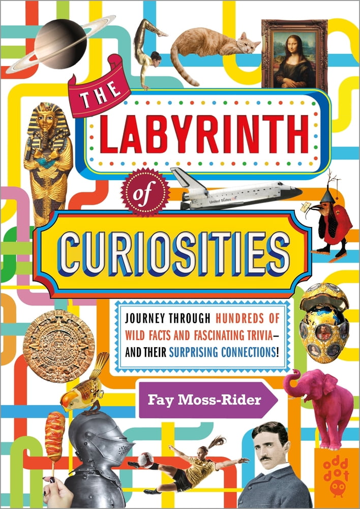 Pre-Owned The Labyrinth of Curiosities: Journey Through Hundreds of ...