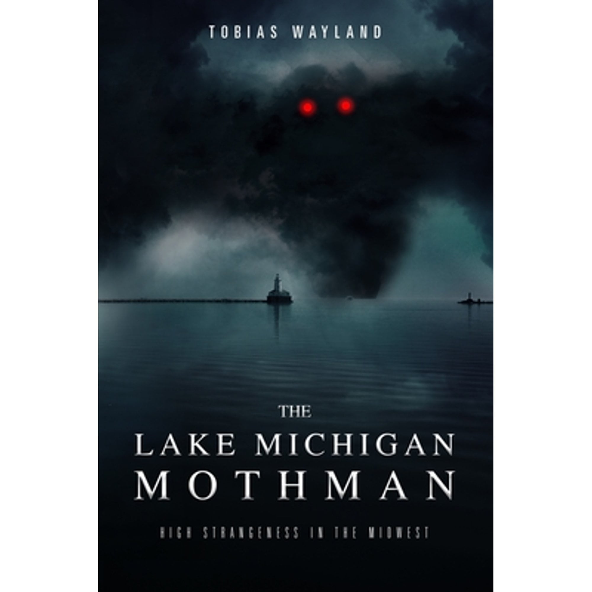 Pre-Owned The Lake Michigan Mothman: High Strangeness in the Midwest (Paperback 9781703441369 ...