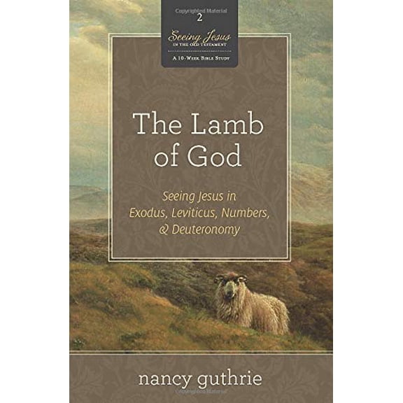 A Testimony of Jesus 3 : Jesus in the Pages of Genesis - Walmart.com