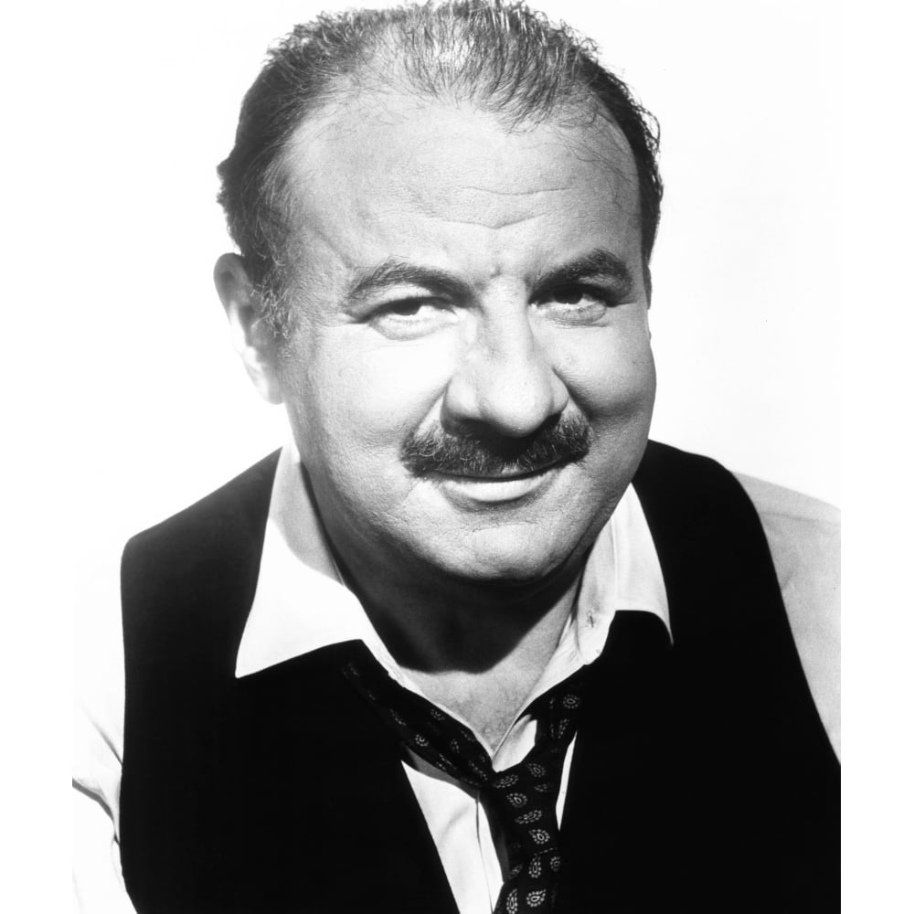 The Last Of The Secret Agents? Lou Jacobi 1966 Photo Print (8 x 10 ...