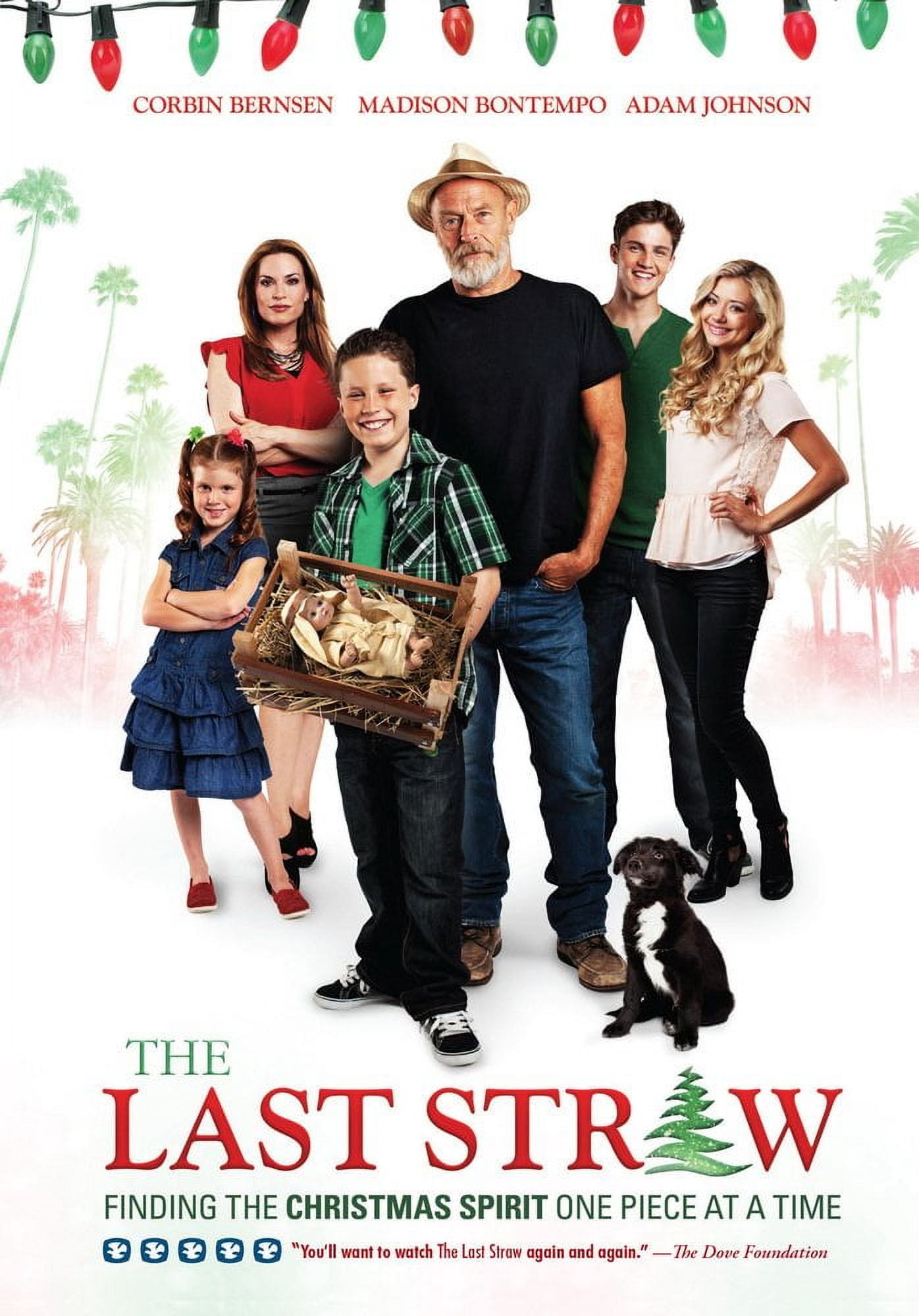 The Last Straw, Dvd - Walmart.com