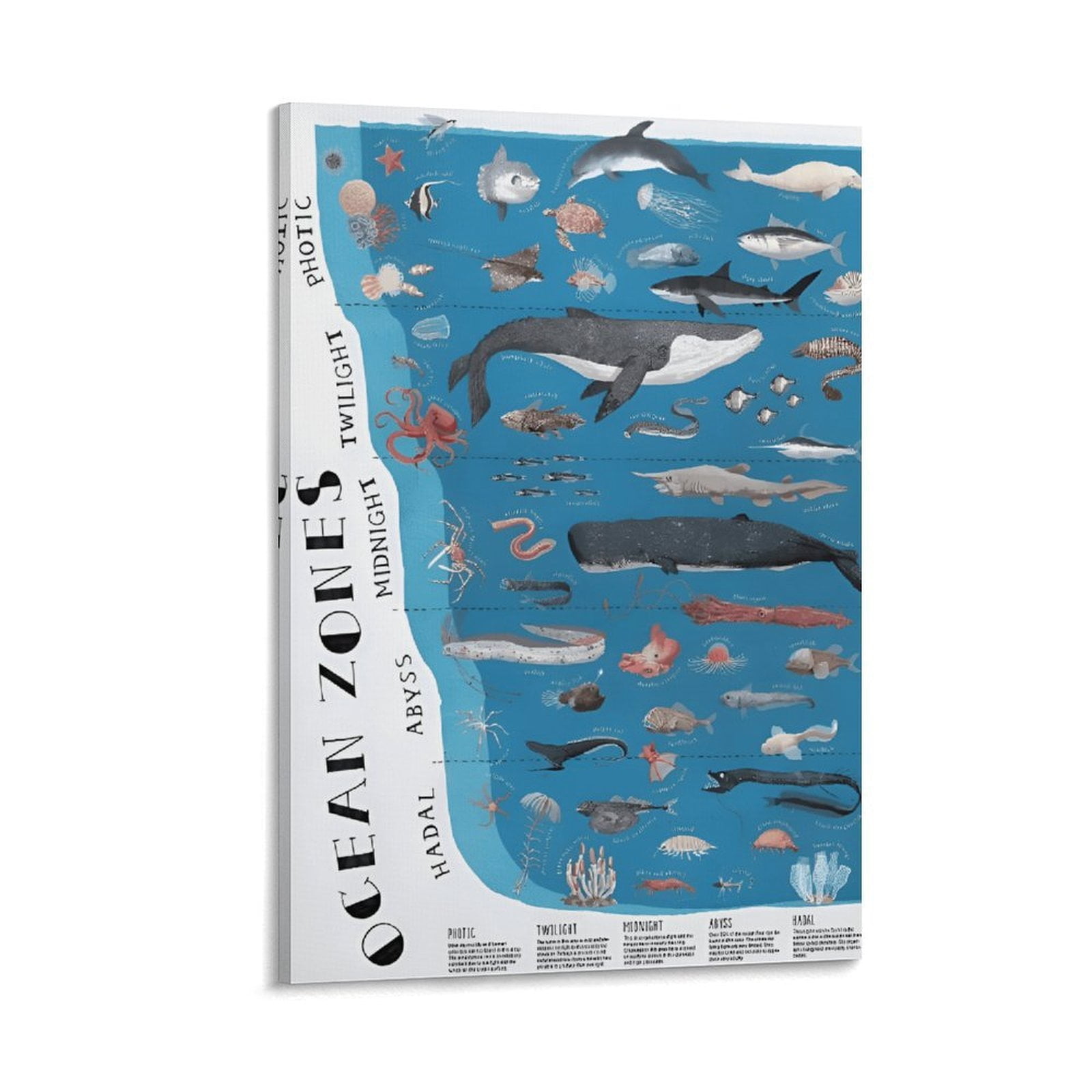 The Layers Ocean Zones Poster Science Posters for Classroom Painting ...