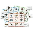 The Learning Journey Match It! Dinosaur Bingo - Educational Game for ...