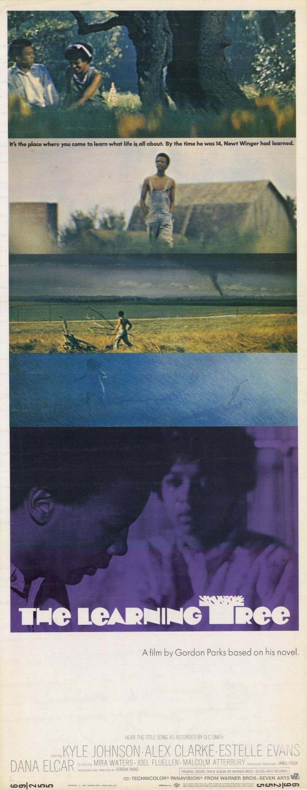 The Learning Tree POSTER (14x36) (1969) (Insert Style A) - Walmart.com