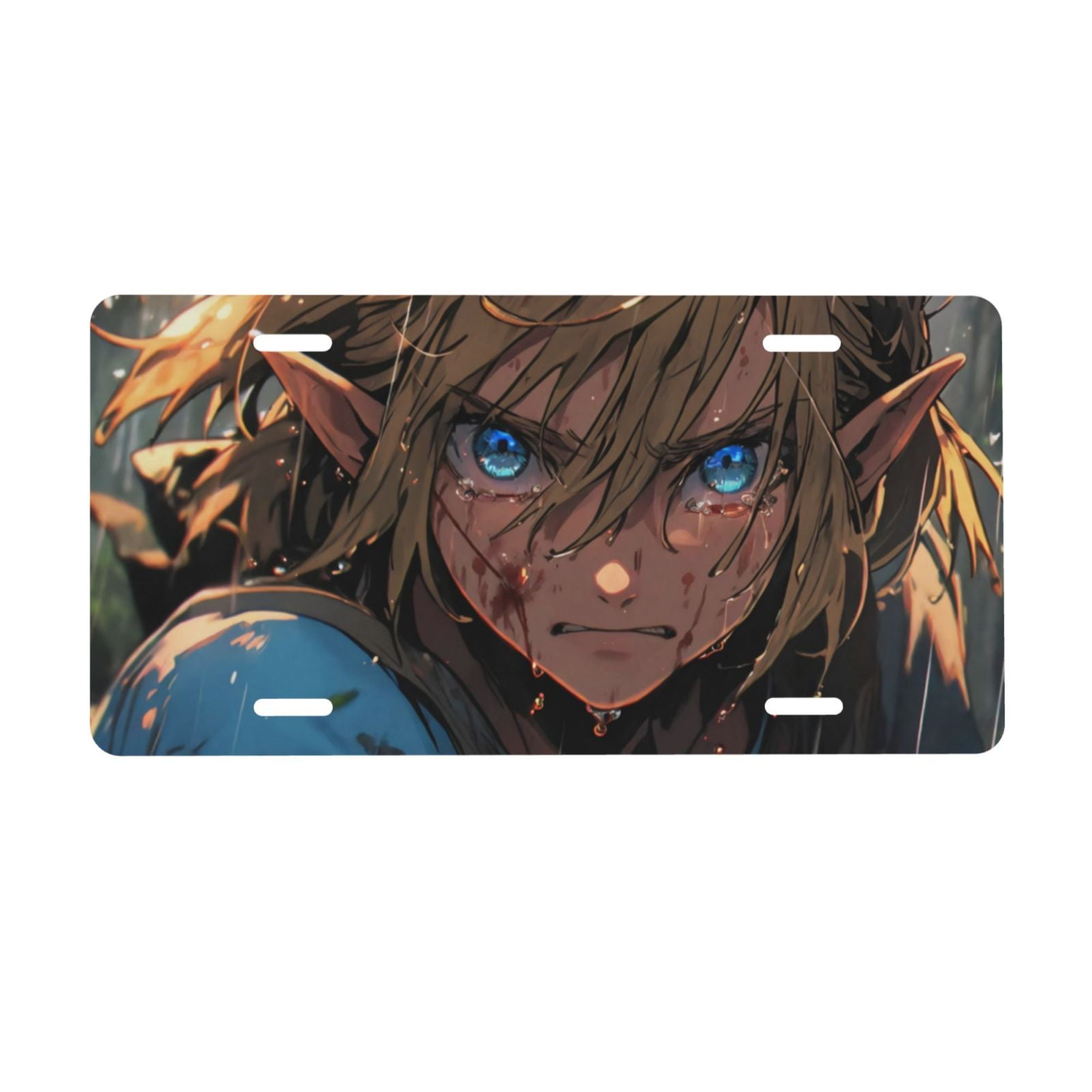 The Legend Of Zelda License Plate, Car Front License Plates With 4 ...