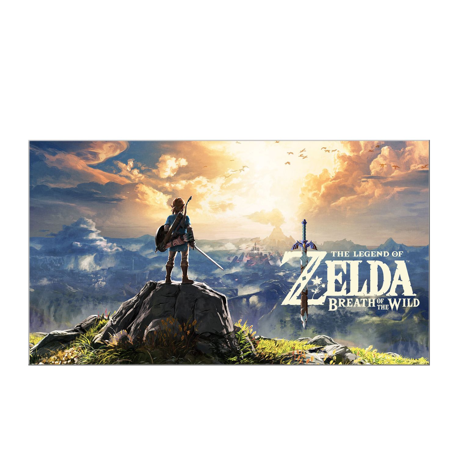 The Legend of Zelda: Breath of the Wild - Nintendo Switch - Walmart.com