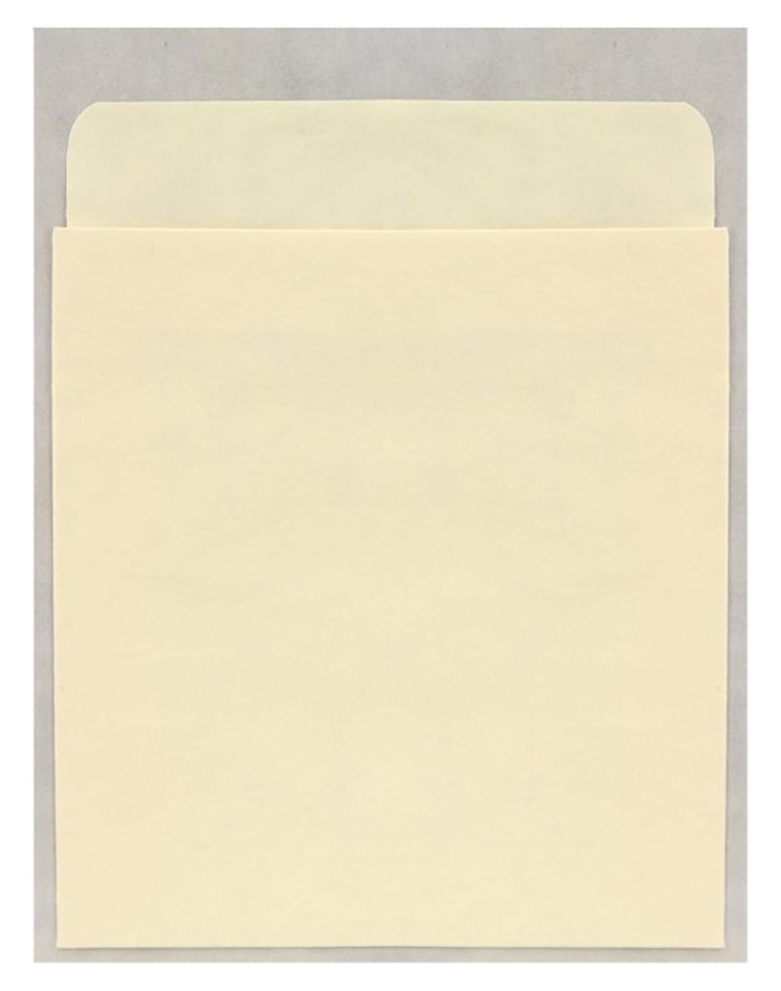 The Library Store Standard Peel and Stick Book Pockets 500 per Package ...