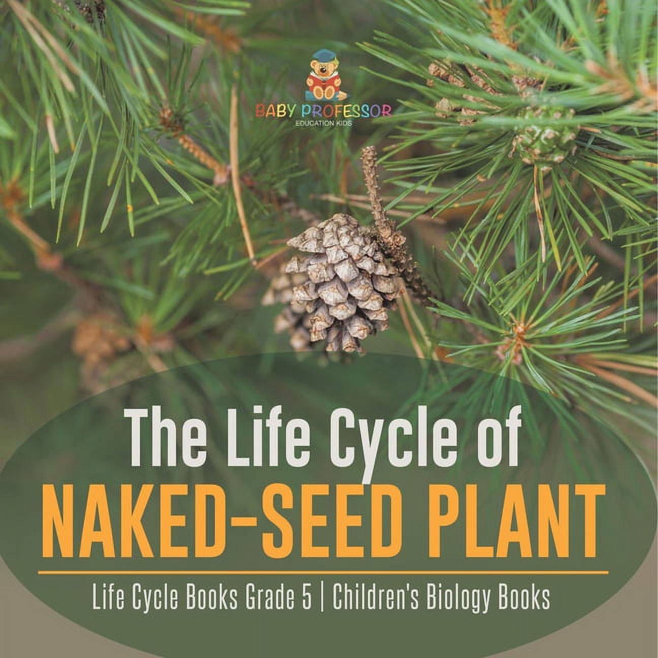 The Life Cycle of Naked-Seed Plant Life Cycle Books Grade 5 Children's ...