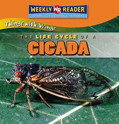 Pre-Owned The Life Cycle of a Cicada (Library Binding) 0836863801 9780836863802 - Walmart.com