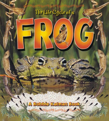 Pre-Owned Frog (Hardcover) 0778706516 9780778706519 - Walmart.com