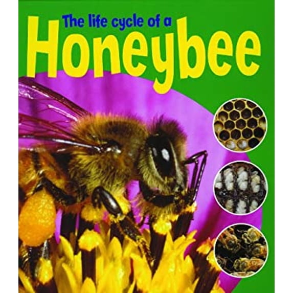 Pre-Owned The Life Cycle of a Honeybee (Library Binding) 9781404237131 ...