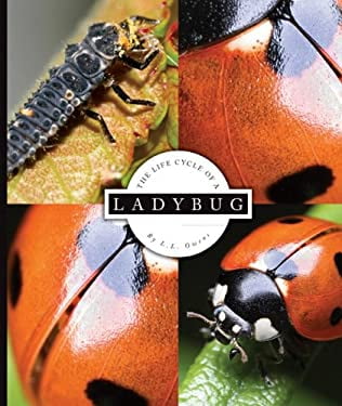Pre-Owned The Life Cycle of a Ladybug (Library Binding) 1609731891 ...