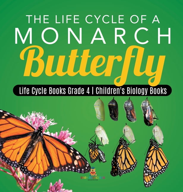 The Life Cycle of a Monarch Butterfly Life Cycle Books Grade 4 Children ...
