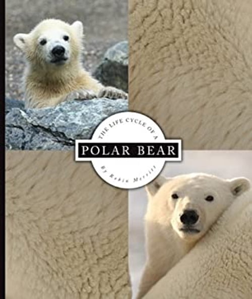 Pre-Owned The Life Cycle of a Polar Bear Cycles Library Binding Robin ...