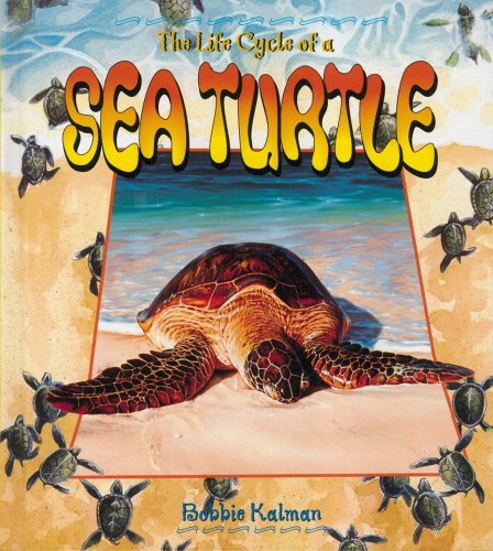 Pre-Owned The Life Cycle of a Sea Turtle Library Binding Bobbie Kalman - Walmart.com