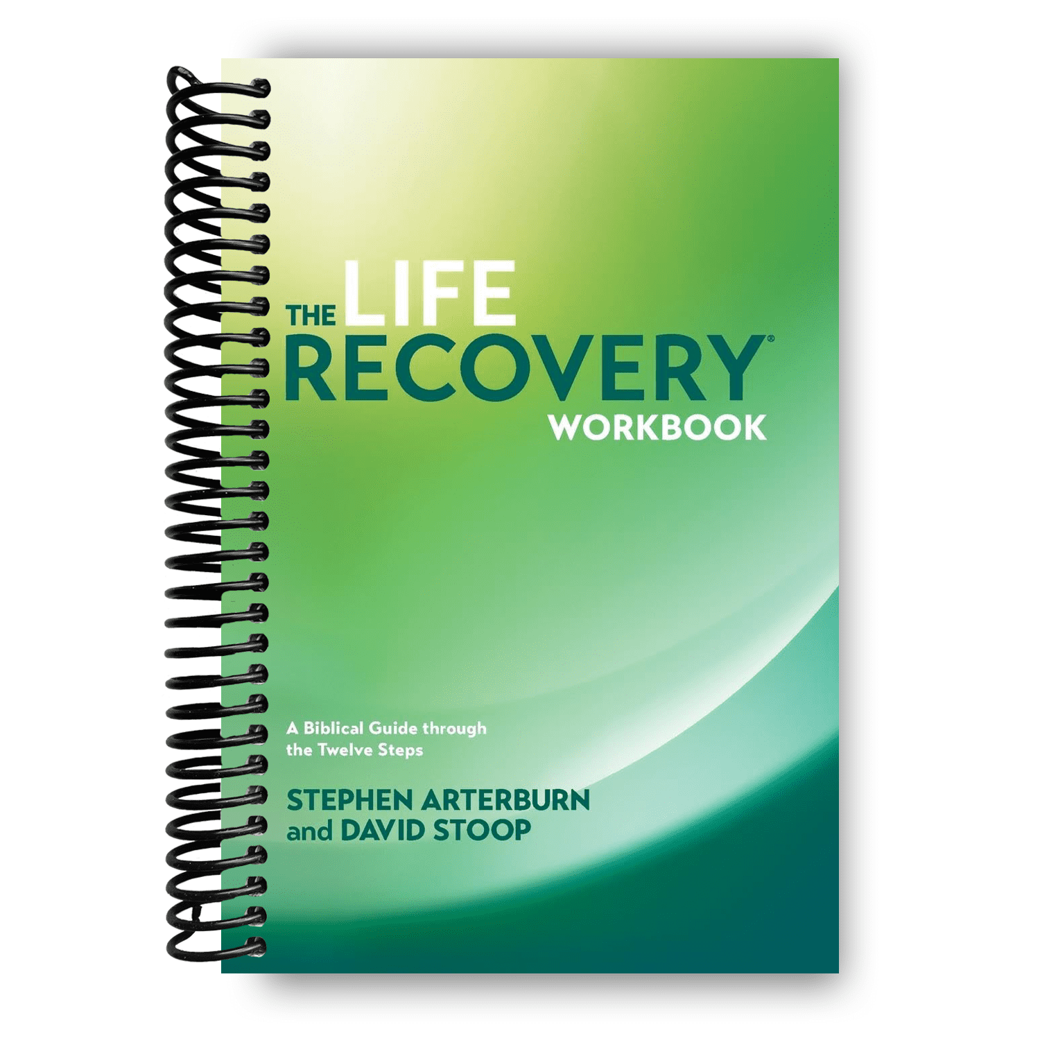 The Life Recovery Workbook (Spiral Bound) - Walmart.com