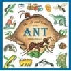 The Life and Times of the Ant (Paperback) - Walmart.com