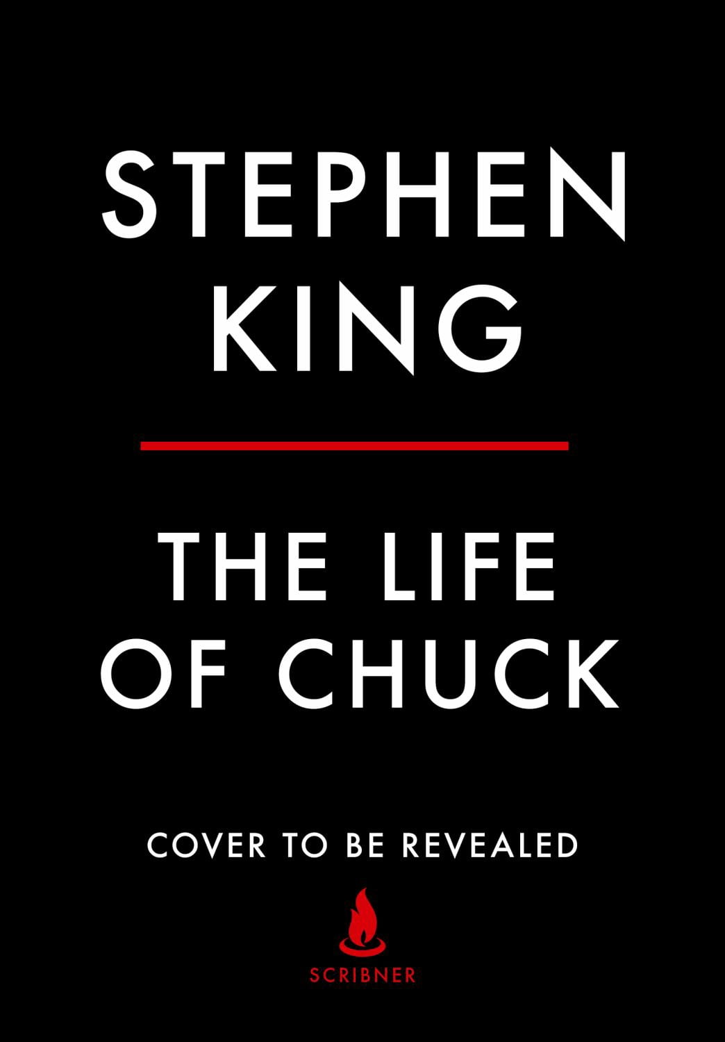 Stephen King: The Life of Chuck (Hardcover) - Walmart.com