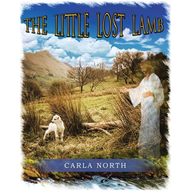 The Little Lost Lamb - Walmart.com