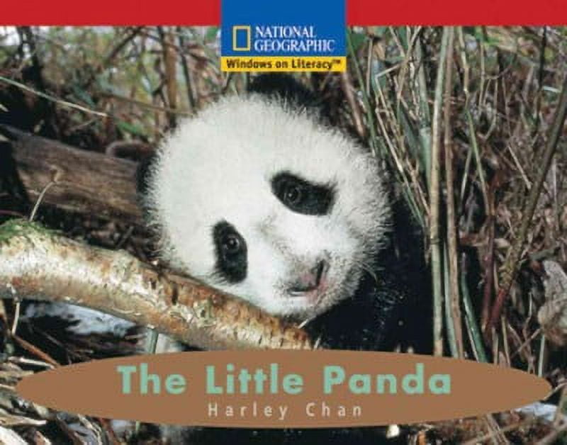 Little Panda