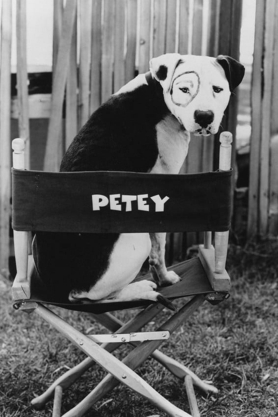 The Little Rascals Petey the Dog 24x36 Poster - Walmart.com