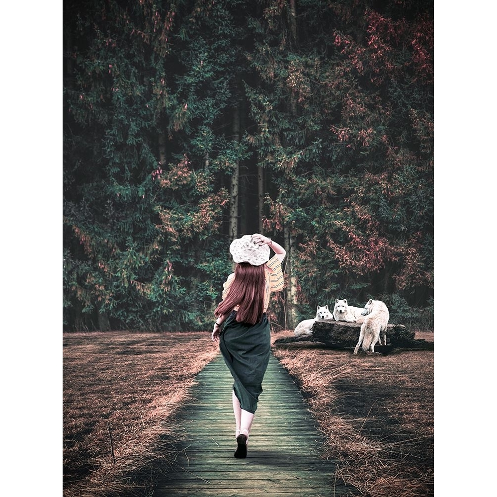 The Little Red And The White Wolfs Poster Print - Gallery Komra (18 x ...